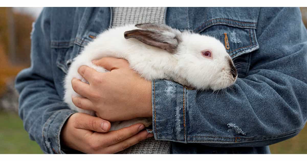 Specialty Feeds | MFA-inc.